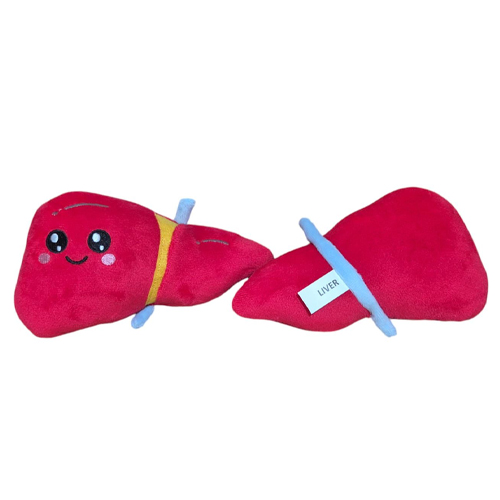 15cm Liver Organ Plush - Corporate Gifts Wholesale